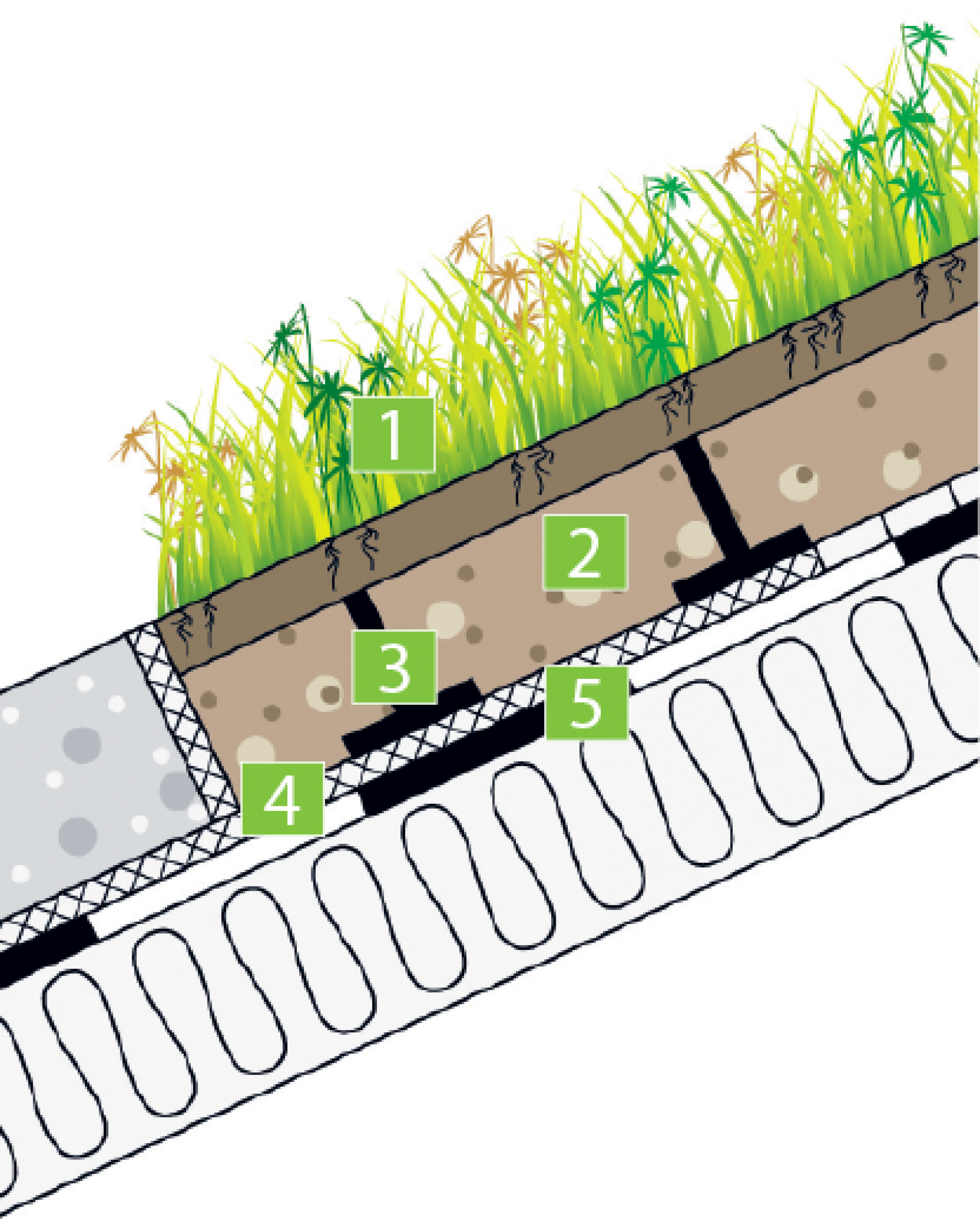 Hellende groene daken | Eindhovenduurzaam