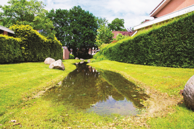 Wadi's | Eindhovenduurzaam
